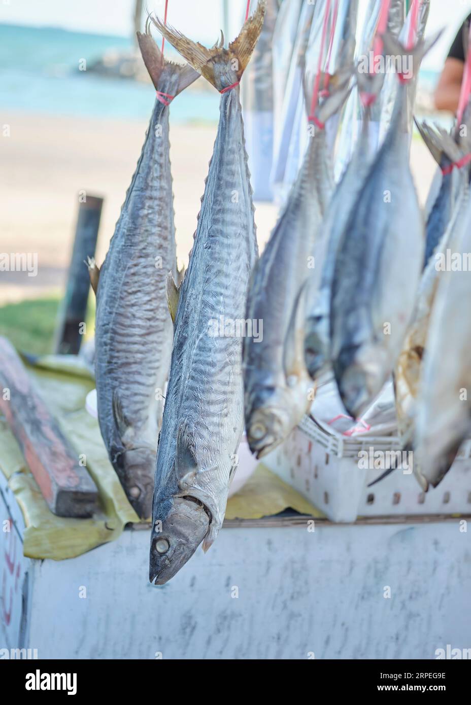Salted fish hanging on market at Rayong, Thailand Stock Photo - Alamy
