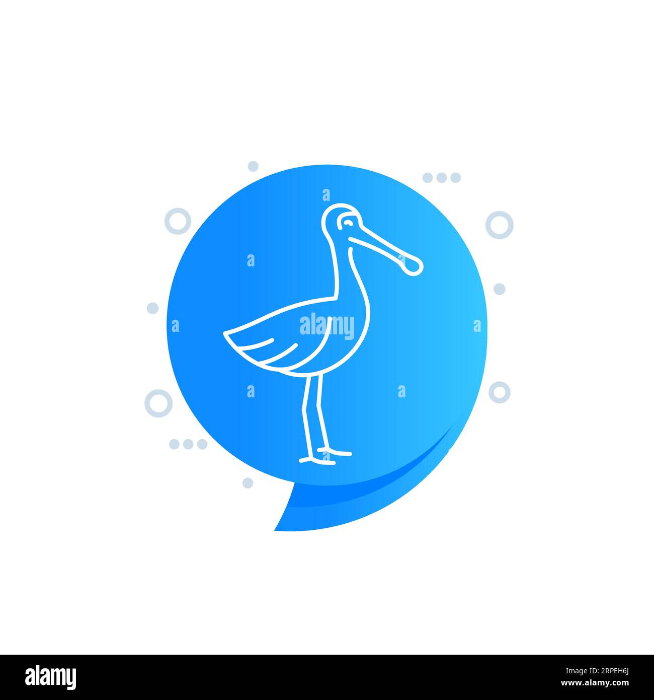 White spoonbill Stock Vector Images - Alamy