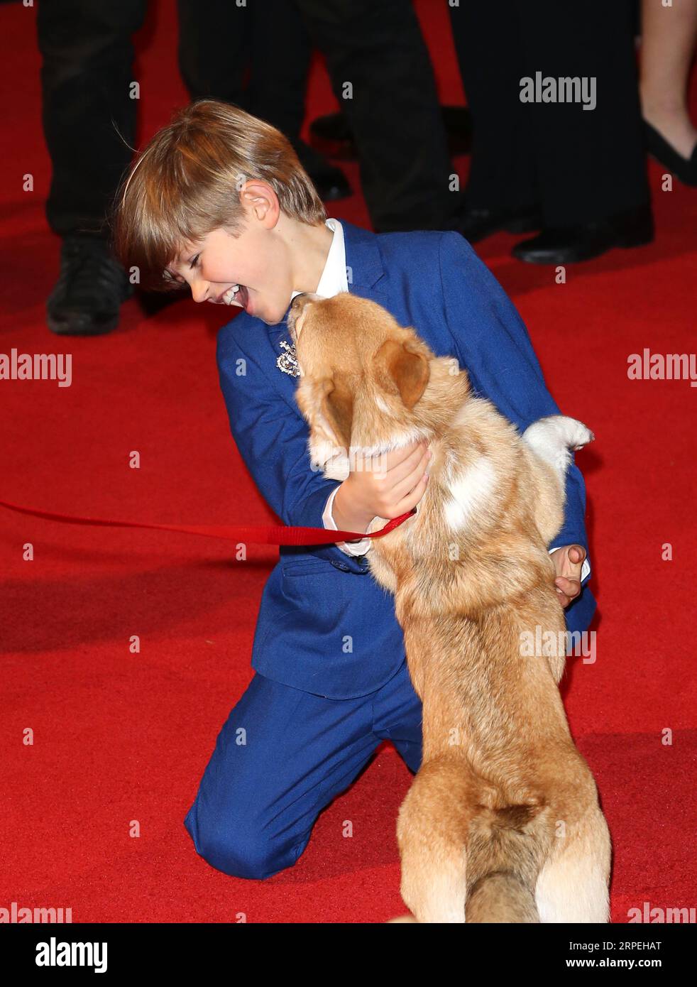 London, UK. 21st Nov, 2017. Billy Jenkins attends the World Premiere of ...