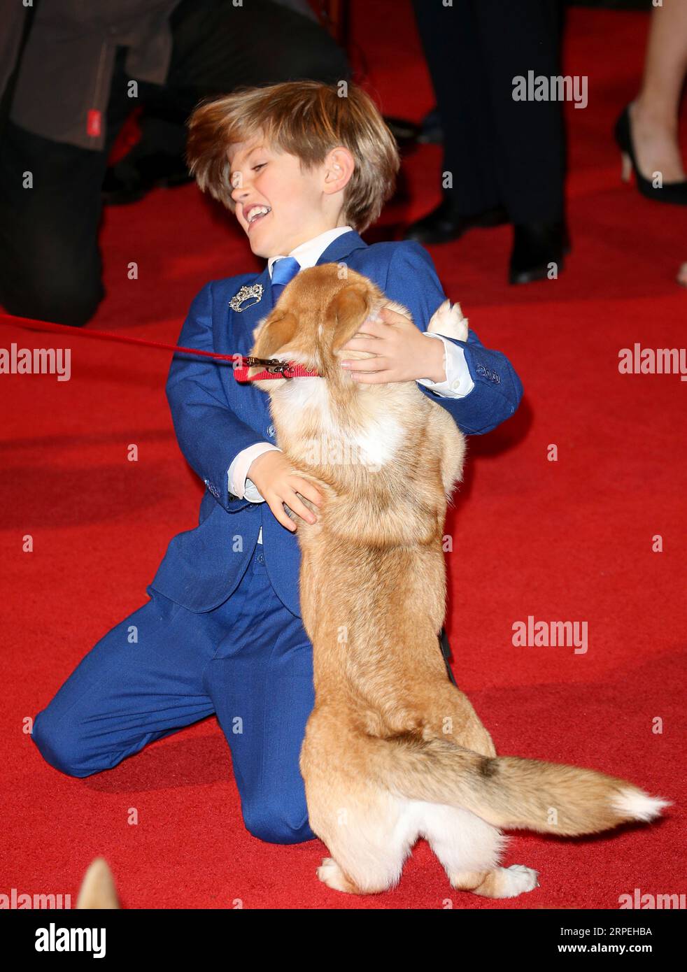 London, UK. 21st Nov, 2017. Billy Jenkins attends the World Premiere of ...