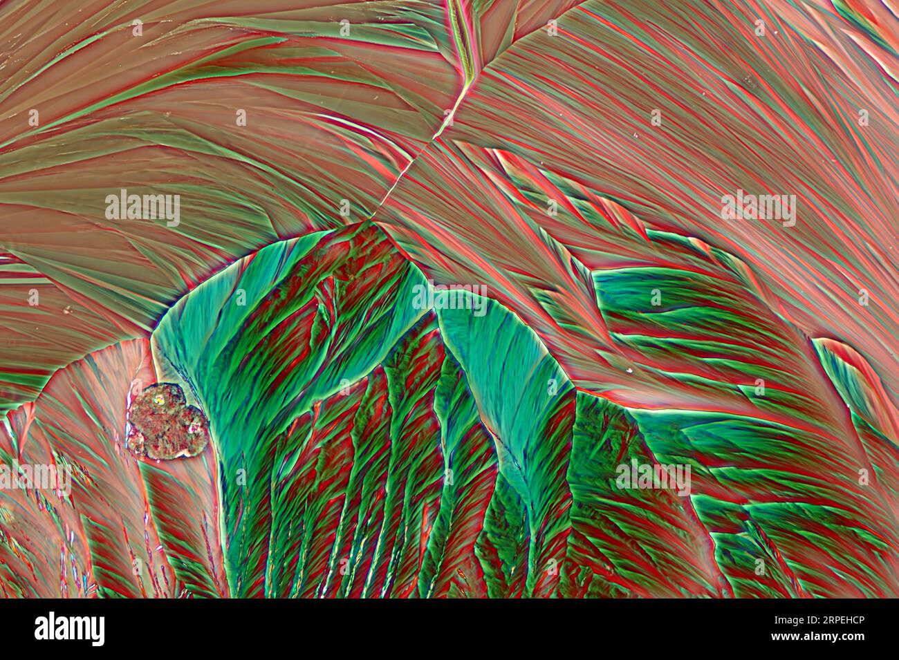 The image presents crystallized resorcinol, photographed through the ...