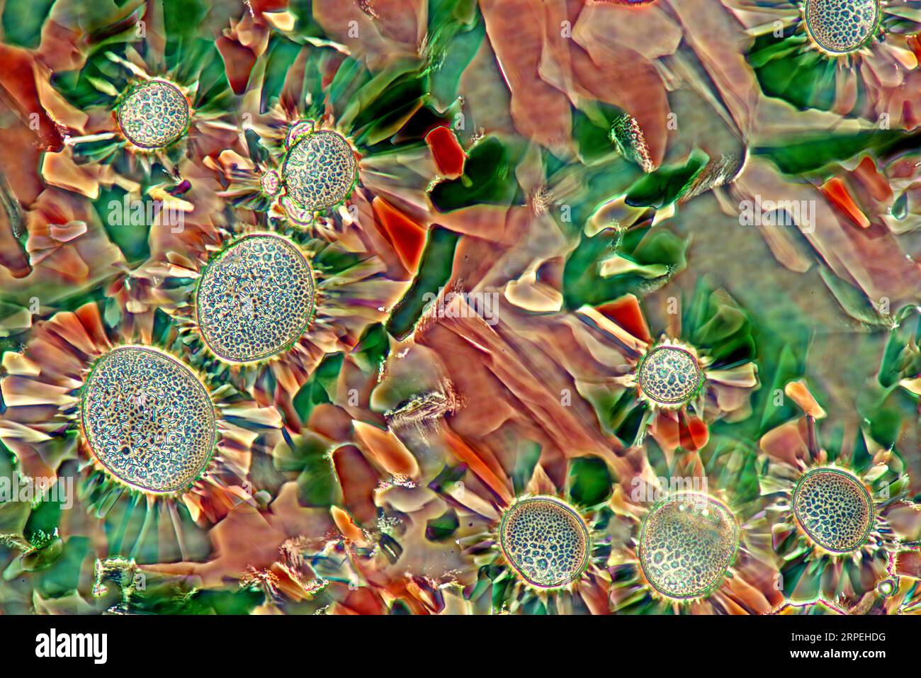 The image presents crystallized tartaric acid, photographed through the ...