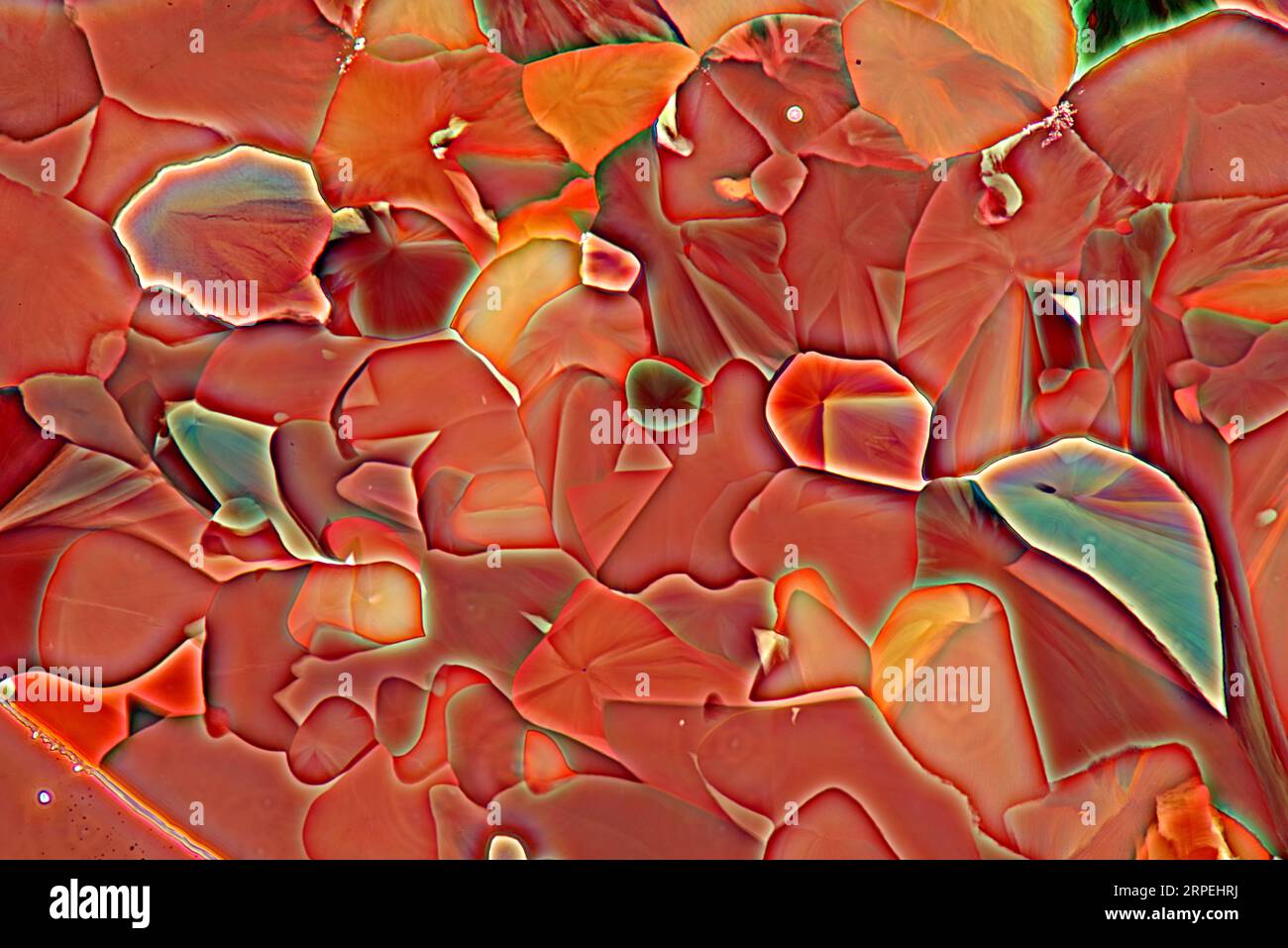 The image presents crystallized mixture of tartaric acid and TRIS ...