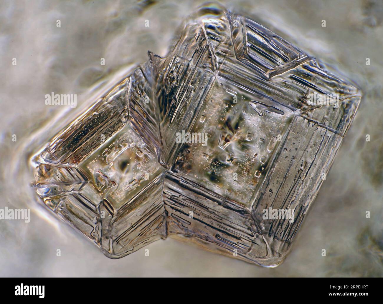 The image presents two crystals of recrystallized salt, photographed ...