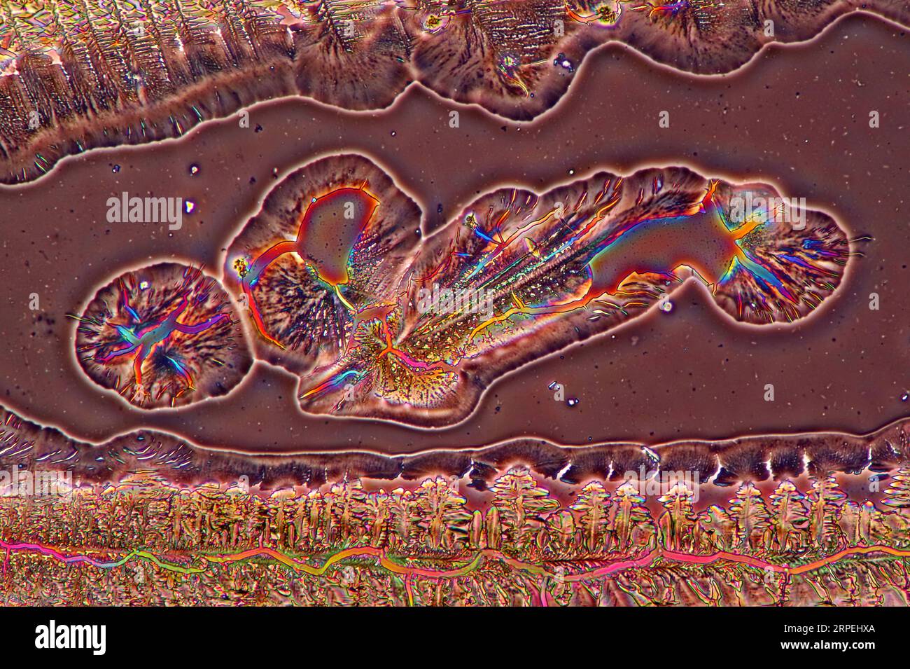 The image presents crystallized copper acetate photographed through the ...