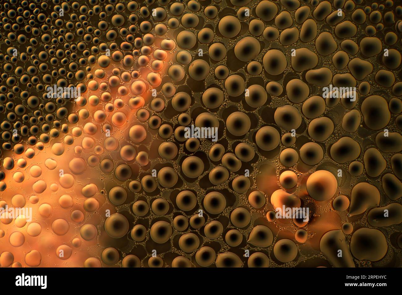 The image presents tiny air bubbles photographed through the microscope ...