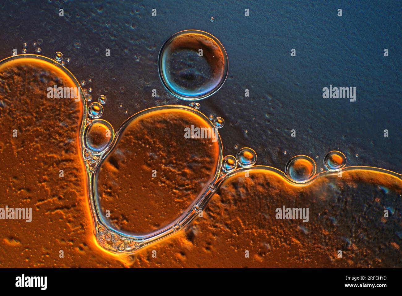The image presents air bubbles formed in foamed milk, photographed ...