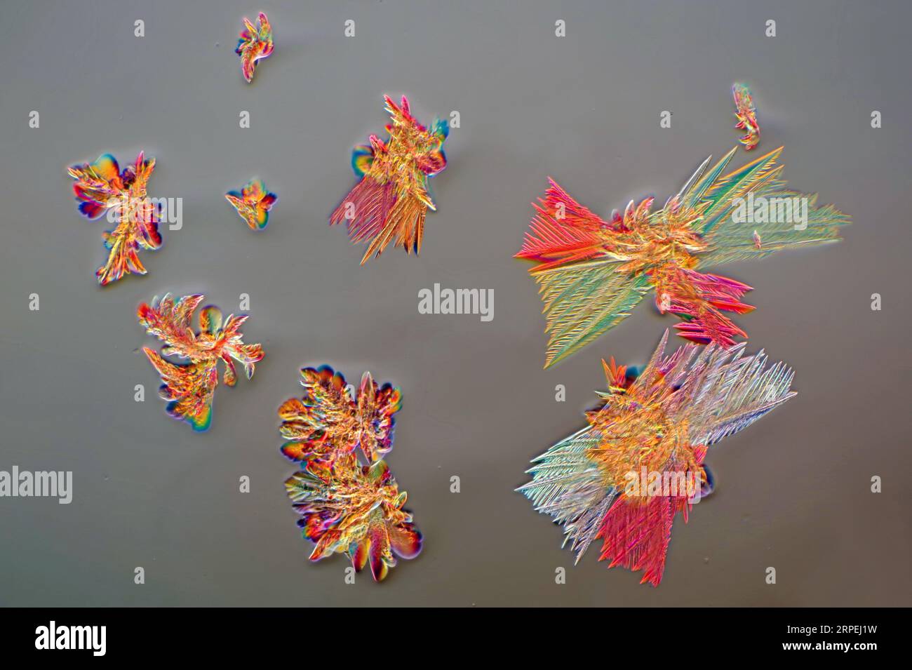 Salicylic acid under microscope hi-res stock photography and images - Alamy