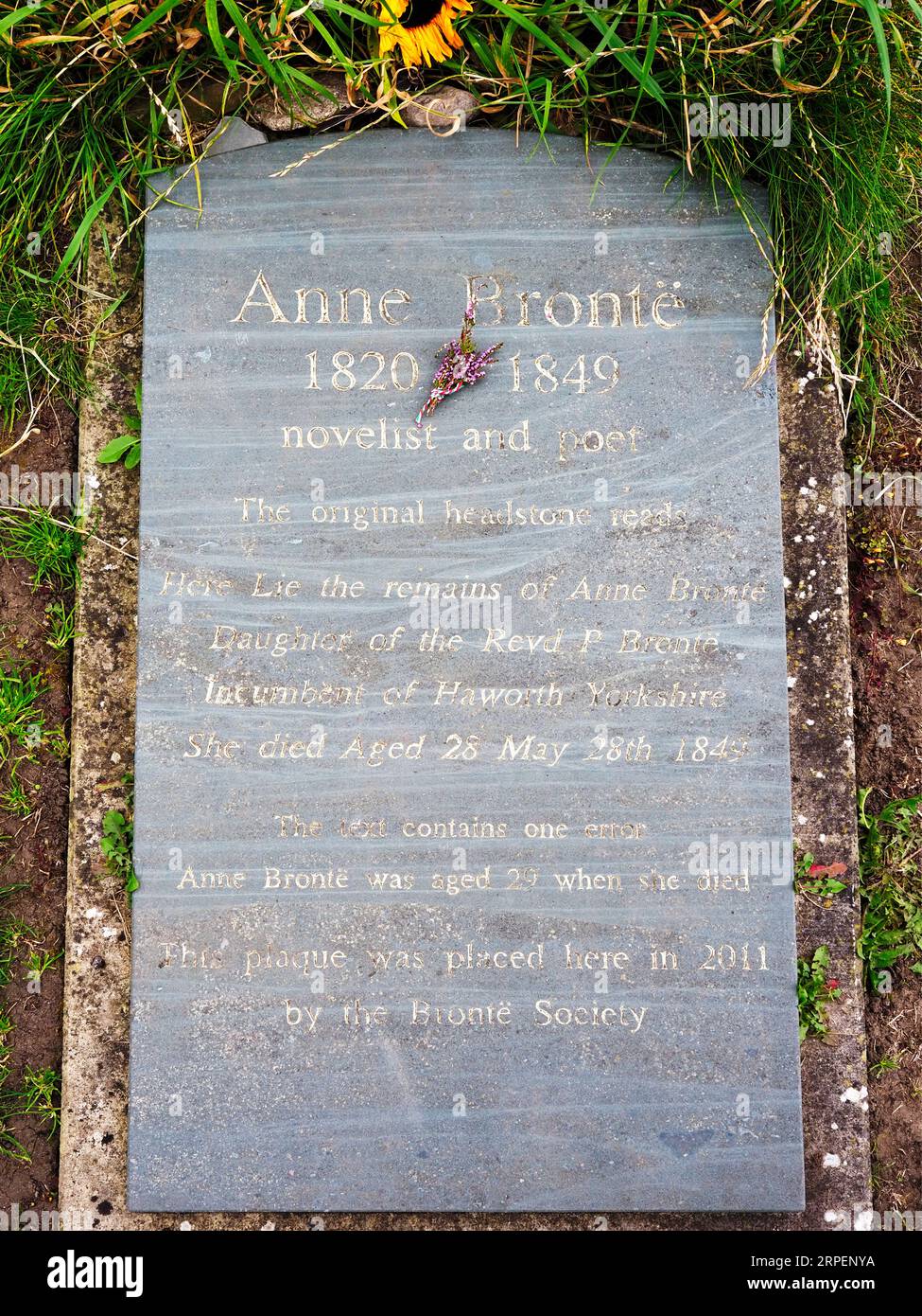 Heather from haworth moor hi-res stock photography and images - Alamy