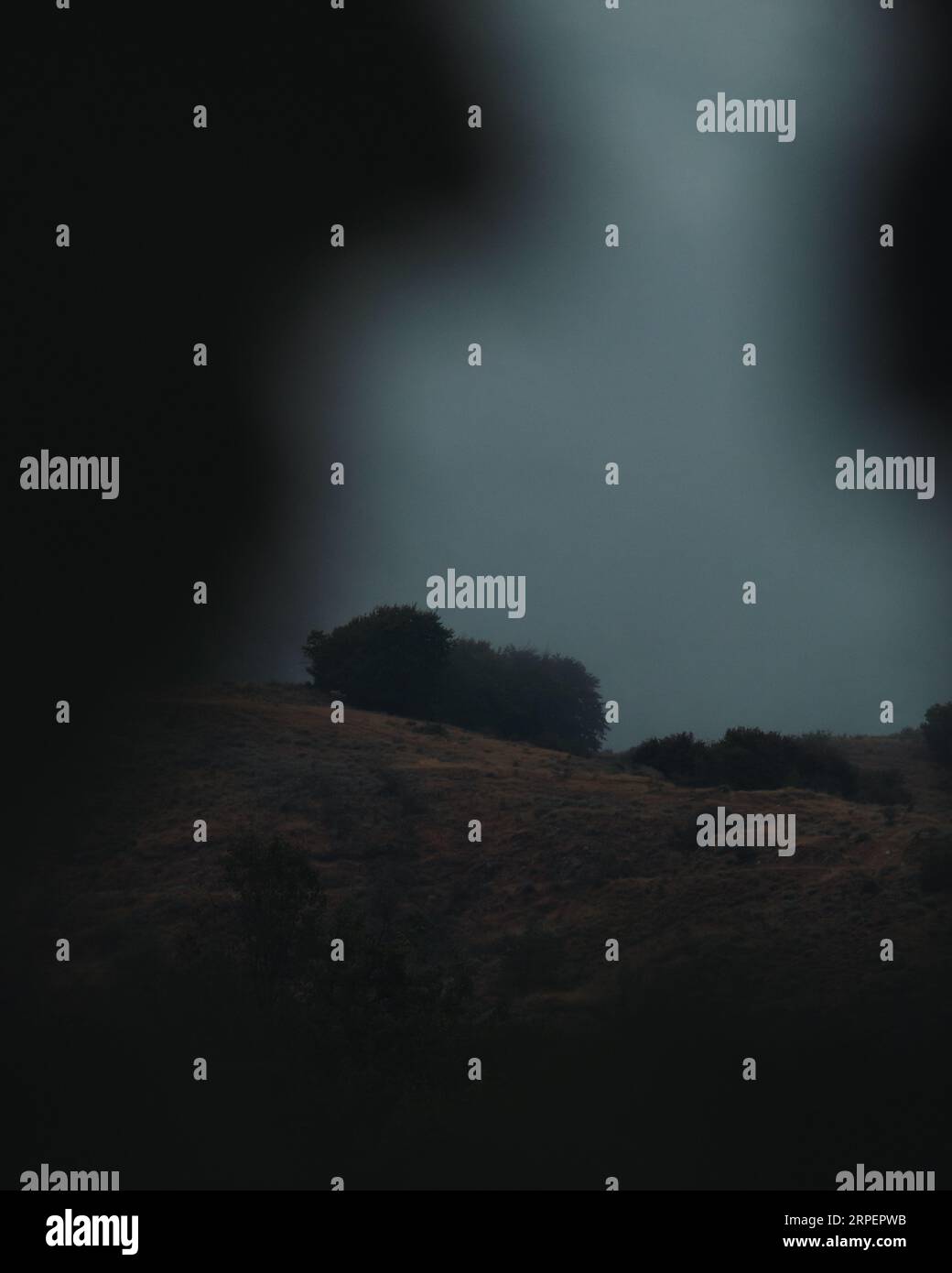 Shooting dark and moody landscape trough leaves Stock Photo - Alamy