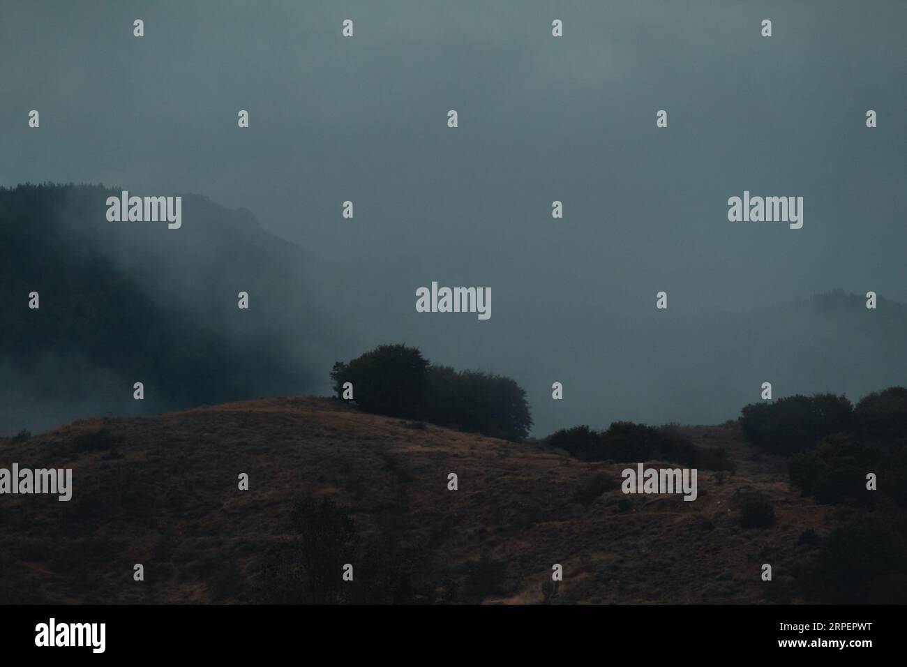 Shooting dark and moody landscape trough leaves Stock Photo - Alamy