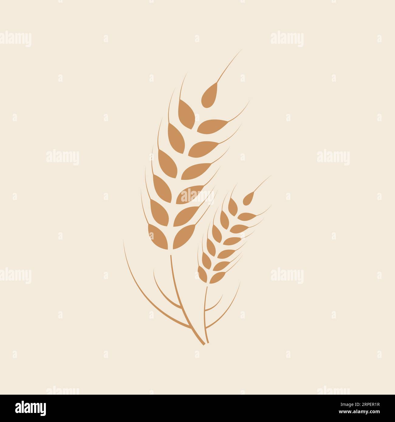Golden wheat ears grains Stock Vector Images - Alamy