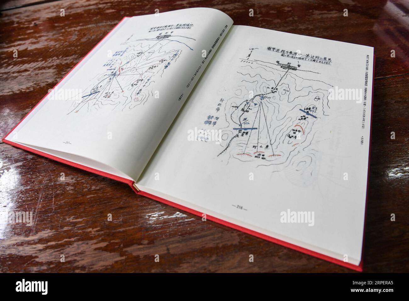 (190903) -- NANJING, Sept. 3, 2019 -- Photo taken on Sept. 3, 2019 ...