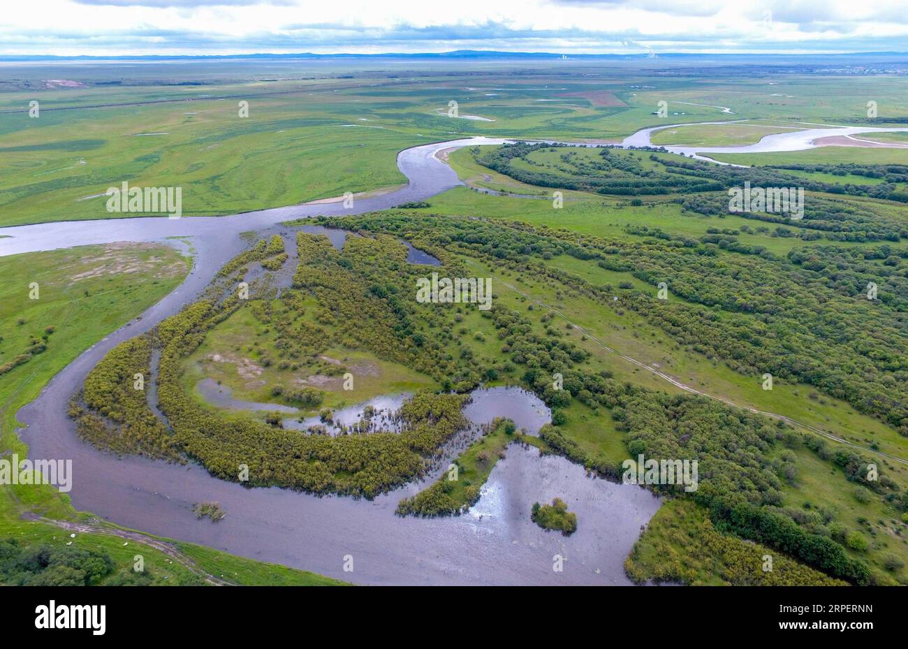 Grasslan hi-res stock photography and images - Alamy