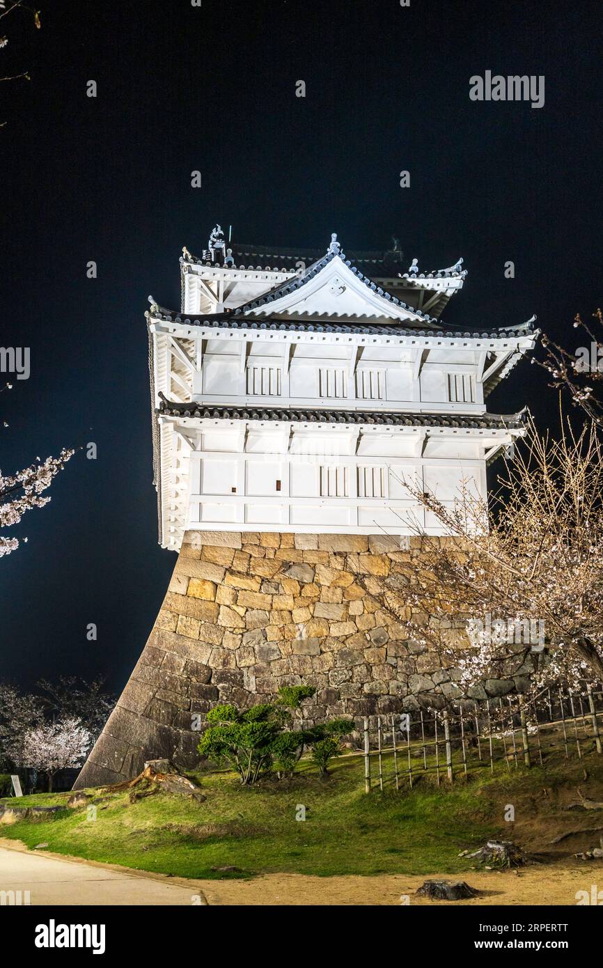 The imposing Fushimi yagura, turret illuminated at night at Fukuyama ...