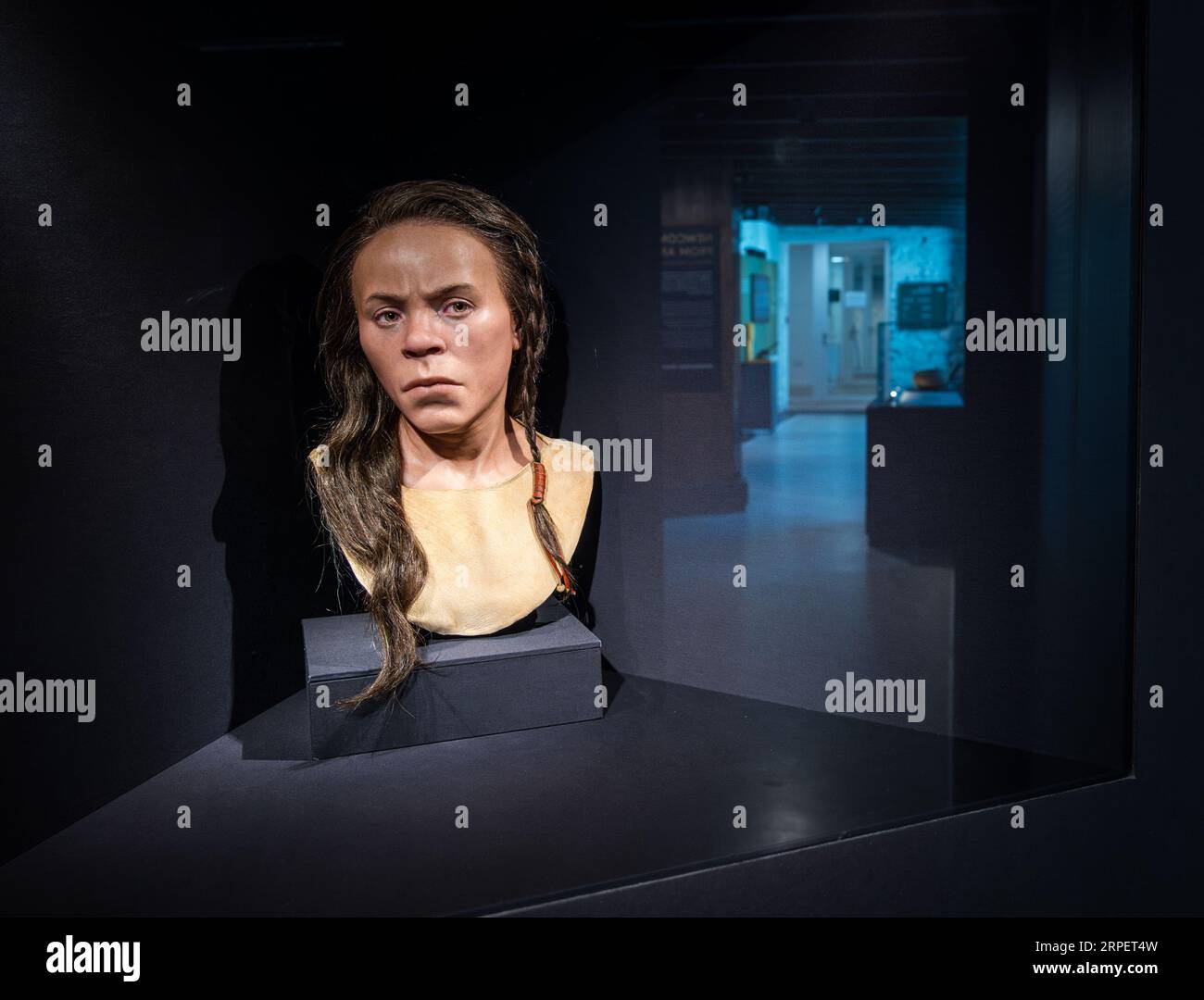 Facial reconstruction of prehistoric woman display, Kilmartin Museum ...