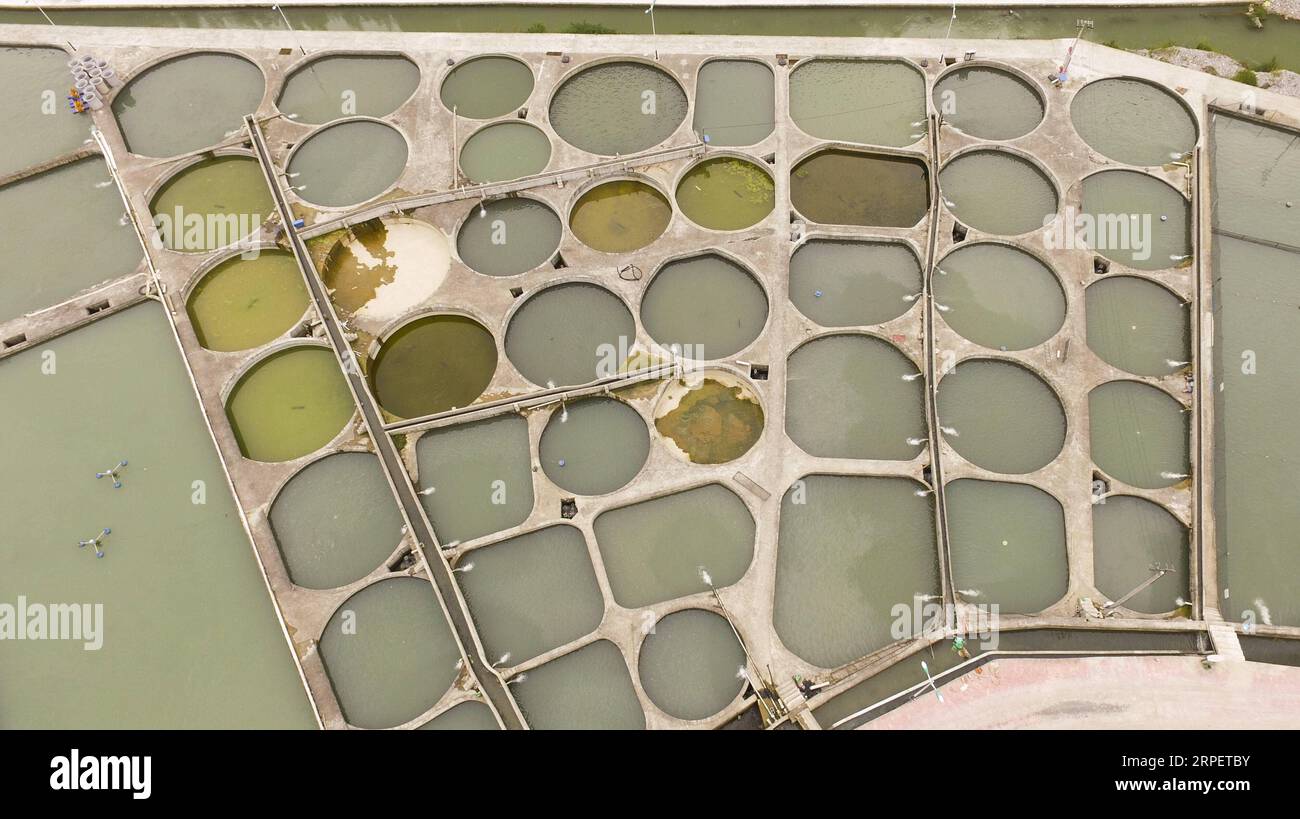 Minerals in the u s hi-res stock photography and images - Alamy