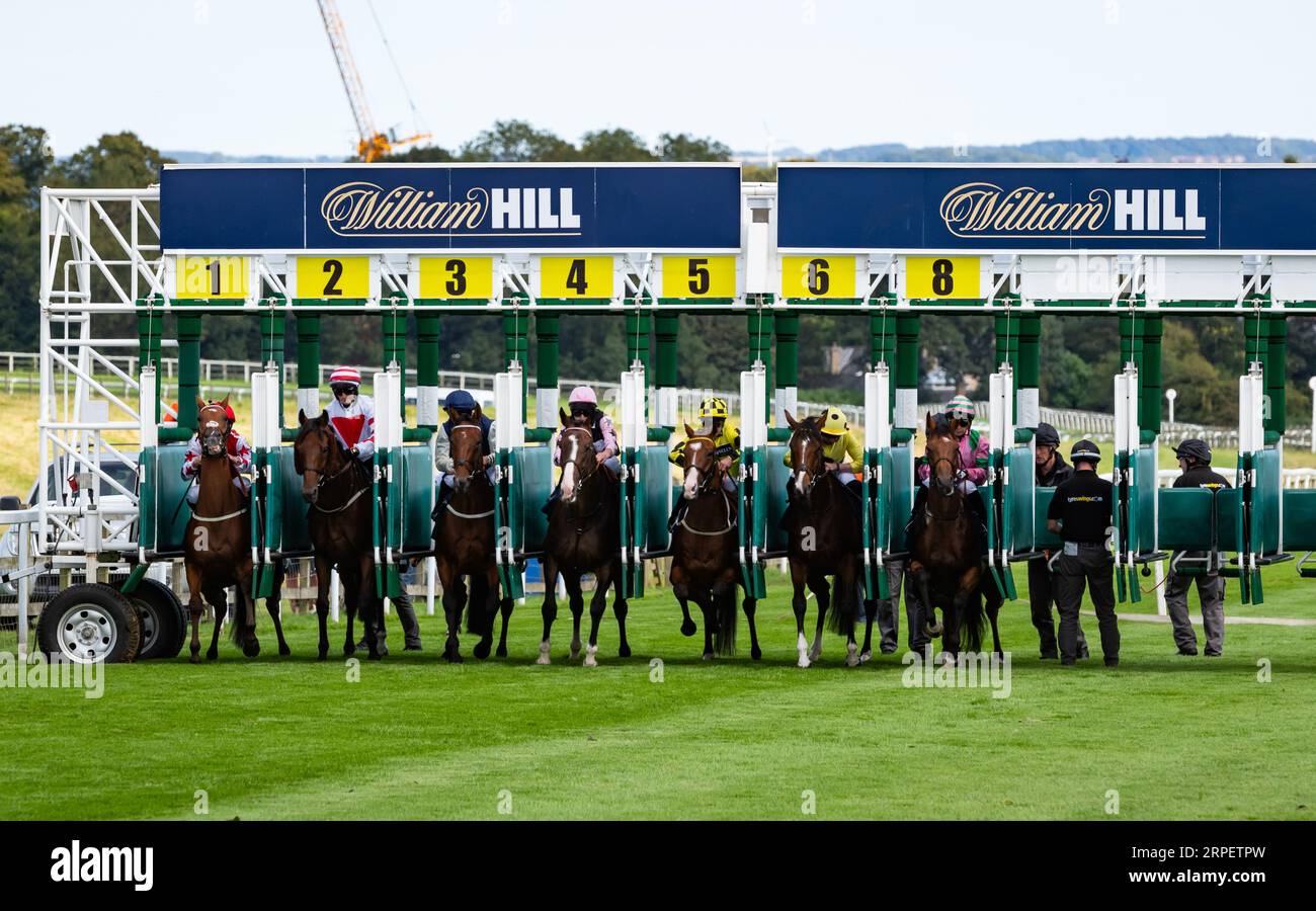 The starting stalls open and the runners head on their way in the 1m 4f ...