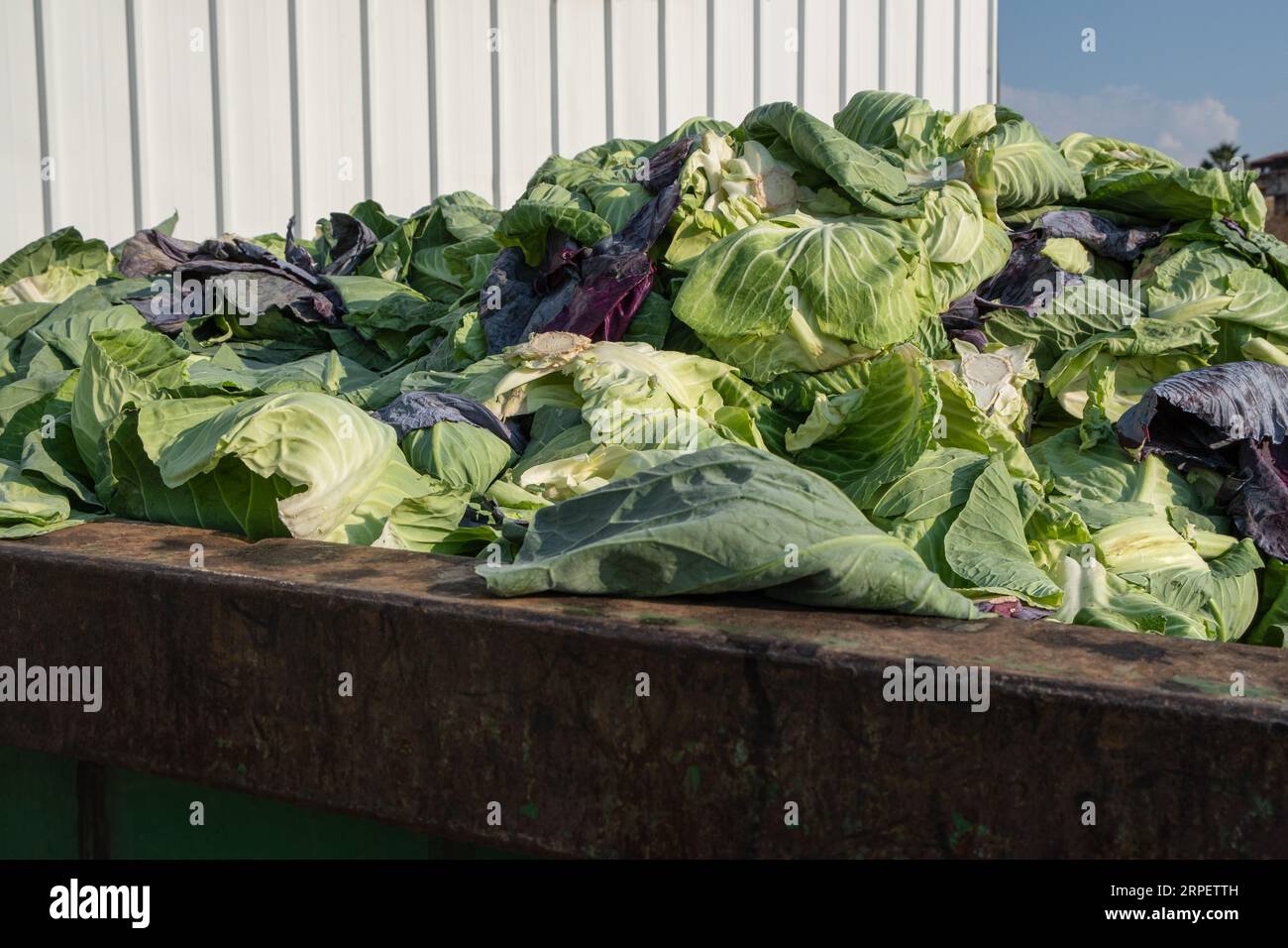 Expired Organic bio waste. Mix Vegetables and fruits in a huge ...