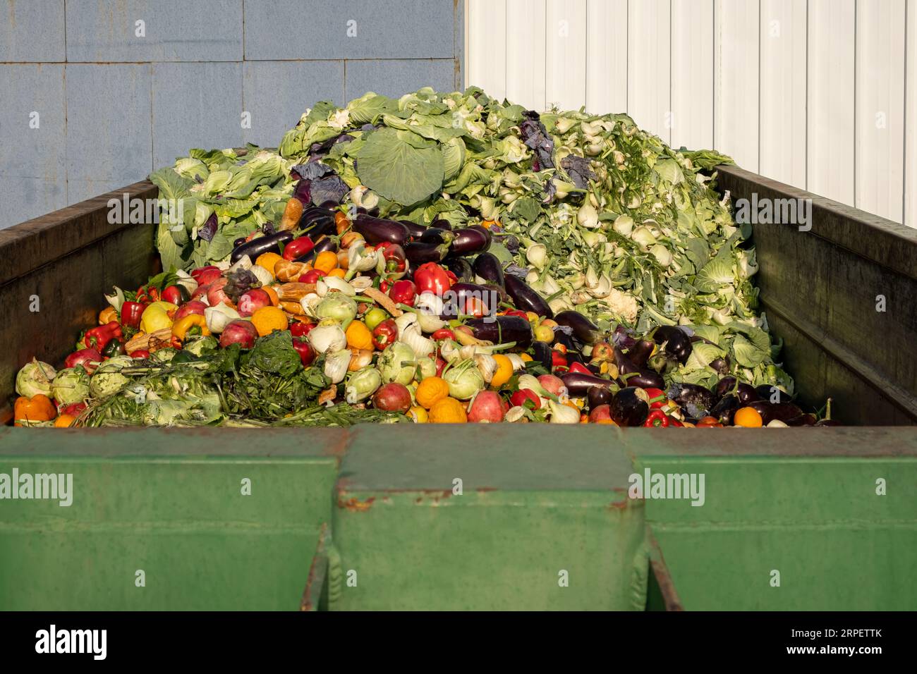 Expired Organic bio waste. Mix Vegetables and fruits in a huge ...