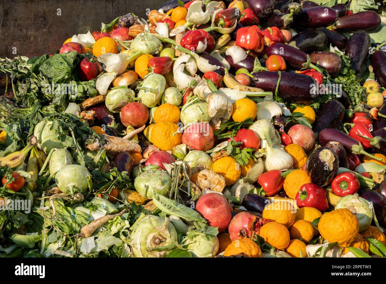 Expired Organic bio waste. Mix Vegetables and fruits in a huge ...