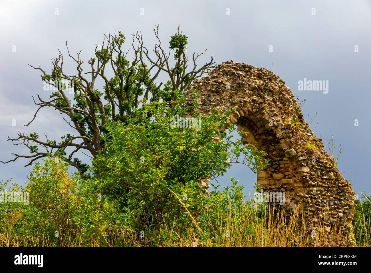 Ruins of St Saviour's Church in use from the 12th century until 1705 ...