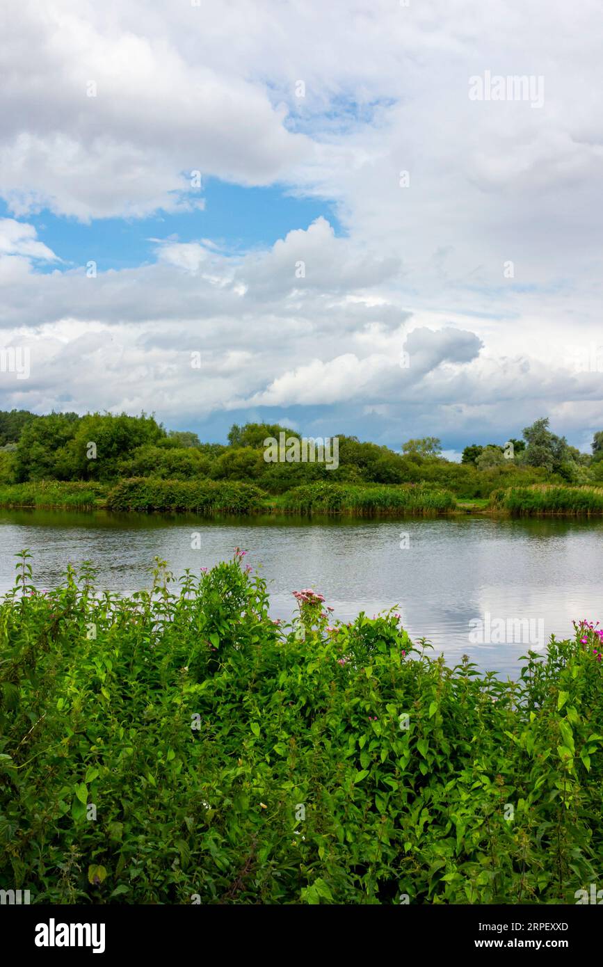 The River Yare flowing through countryside near Surlingham in the ...