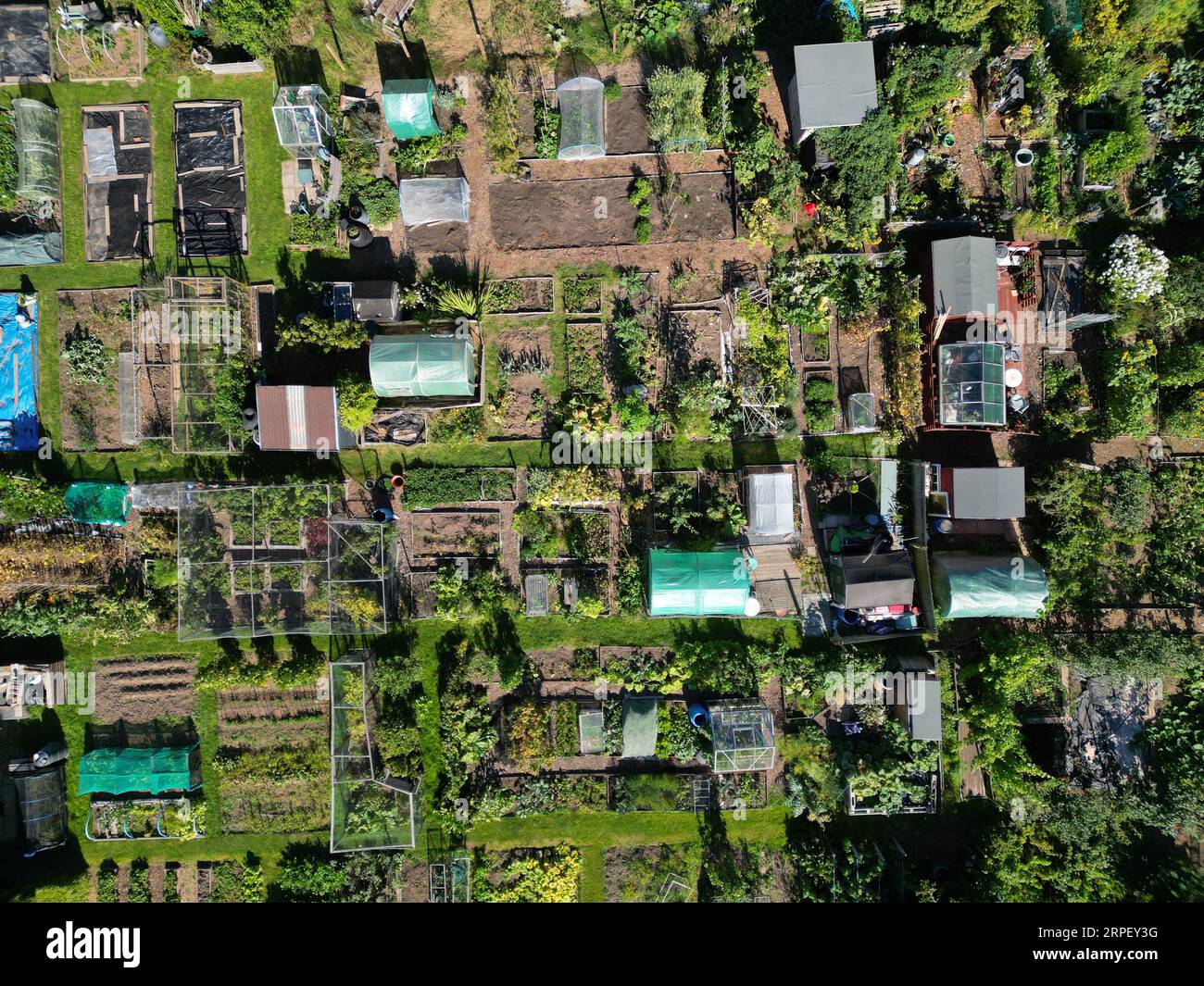 Aerial view of public allotment garden site showing urban location ...