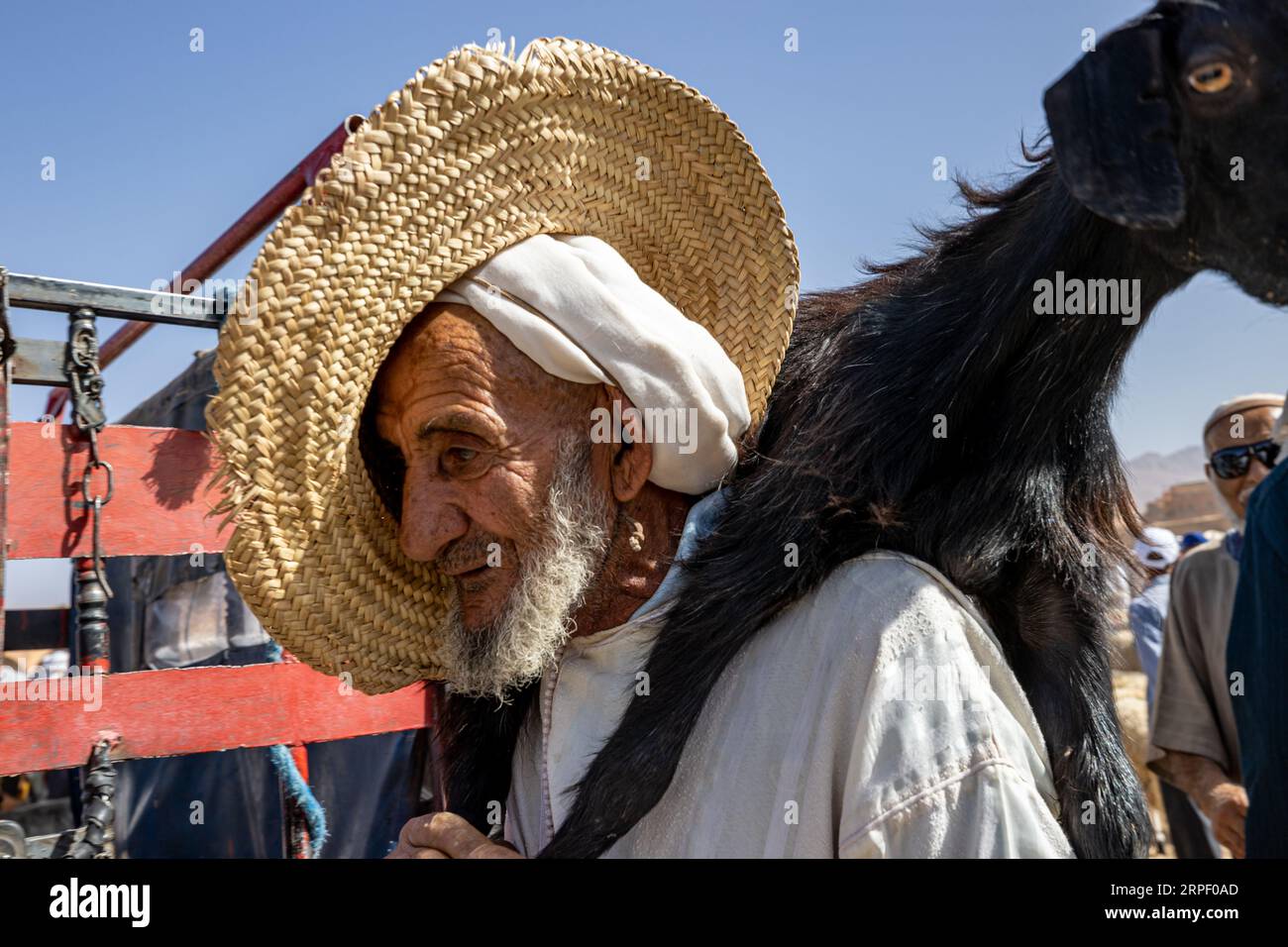 Morocco - Tinghir - Livestock market - Souk - Before the Aid El Adha ...