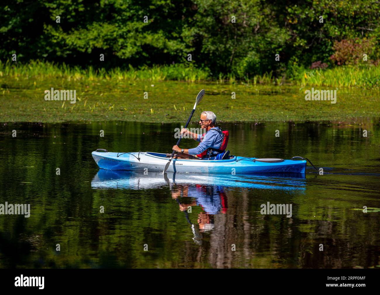 Senior male paddling a kayak on a lake Stock Photo - Alamy