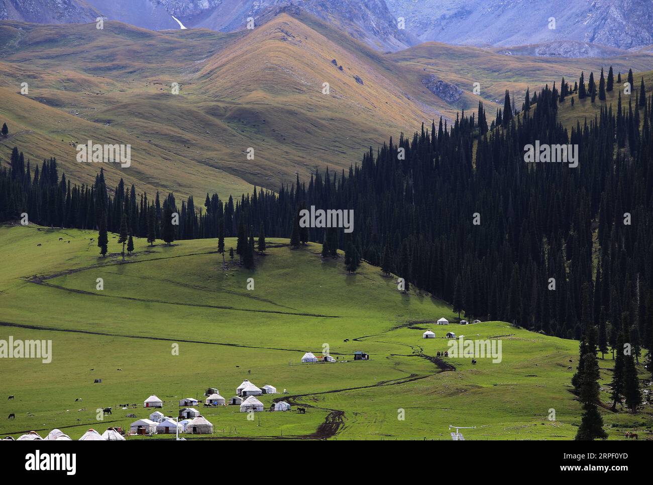 Anxxiya hi-res stock photography and images - Alamy