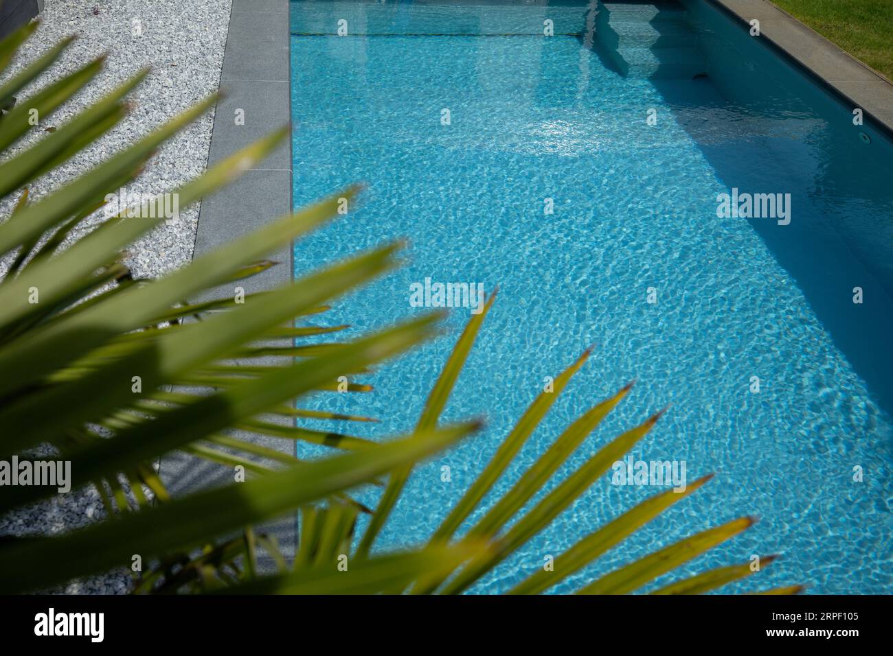 Beveren, Belgium. 04th Sep, 2023. Illustration picture shows a swimming ...