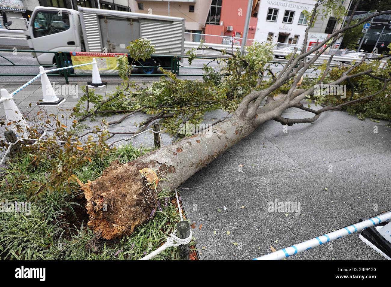 Tokyo typhoon hi-res stock photography and images - Alamy