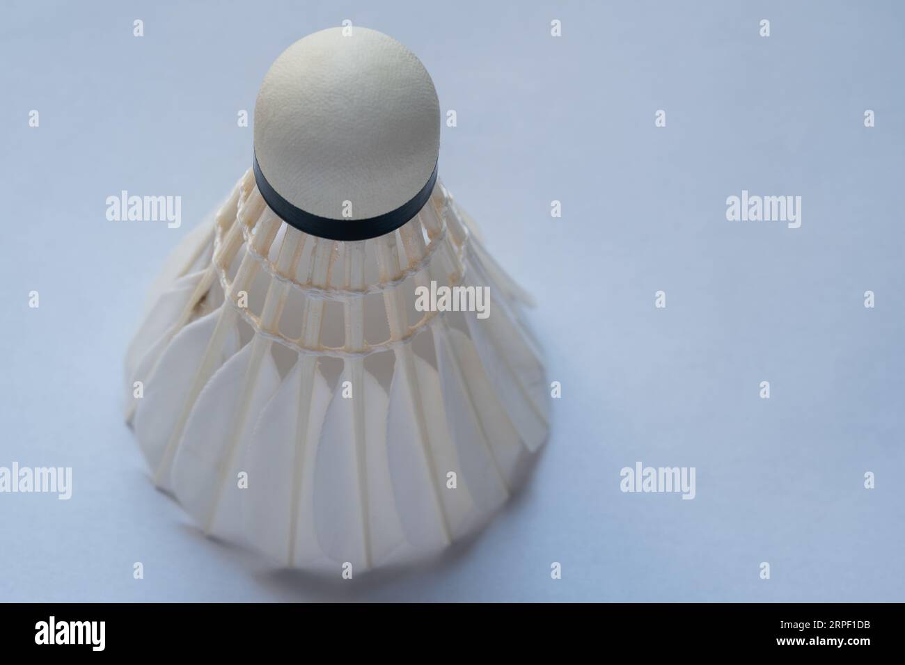 Close up of shuttlecock isolated on white background Stock Photo - Alamy