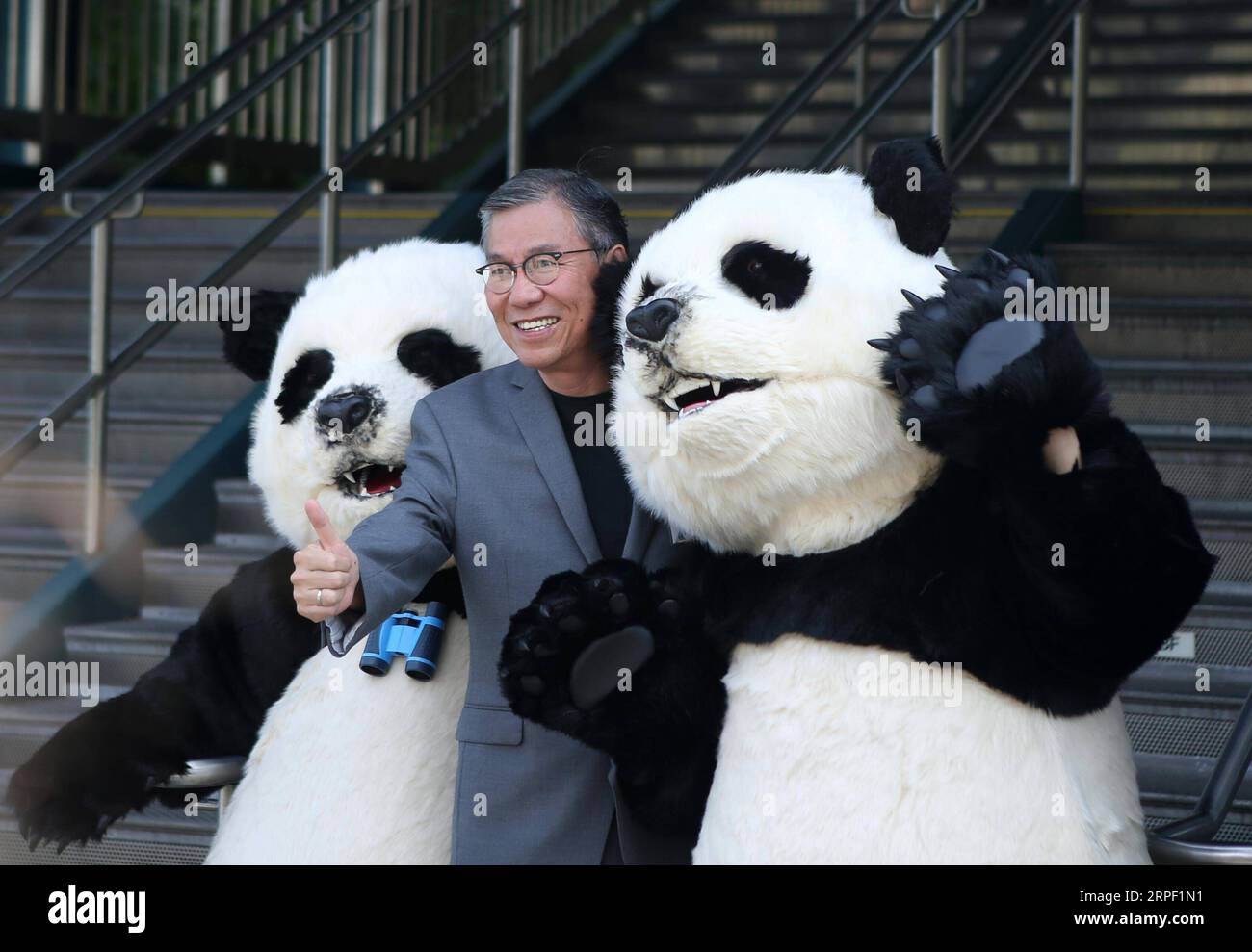 Showcase photos hi-res stock photography and images - Alamy