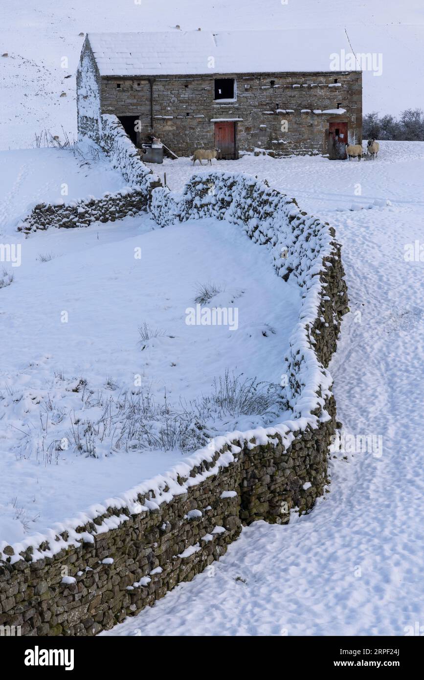 Stone barn and dry stone walls with views across the snow filled valley ...