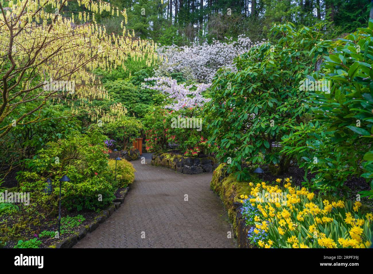 The spring season flower display at the Butchart Gardens, Victoria, Vancouver Island, British ...