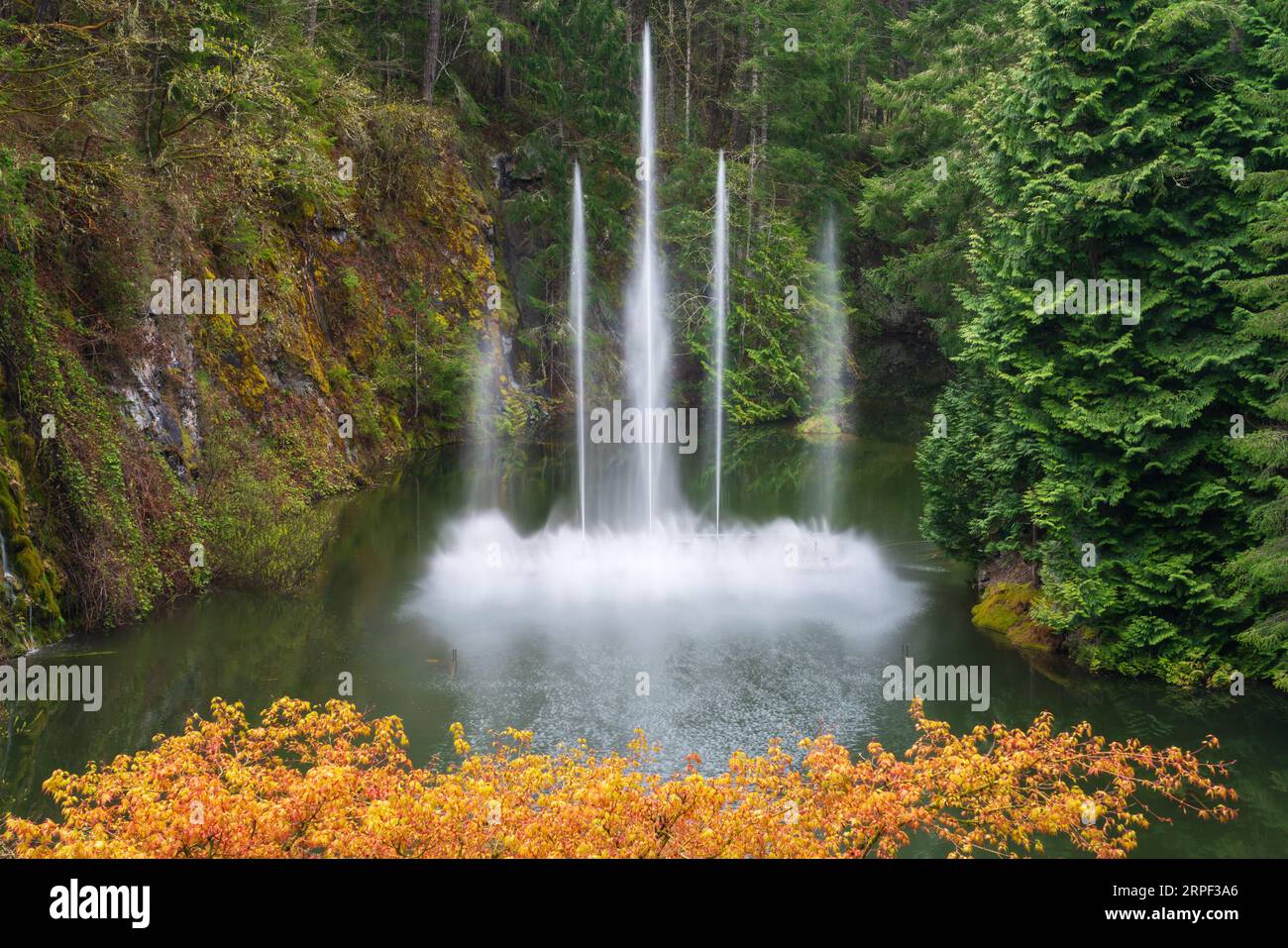 The spring season flower display at the Butchart Gardens, Victoria ...