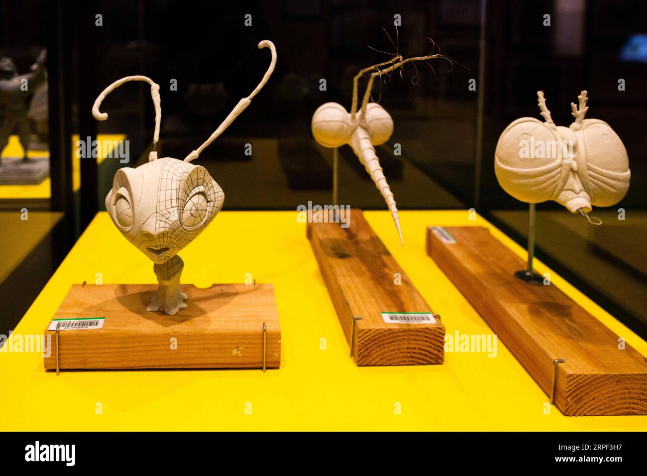 (190911) -- CANBERRA, Sept. 11, 2019 -- Photo taken on Sept. 11, 2019 ...