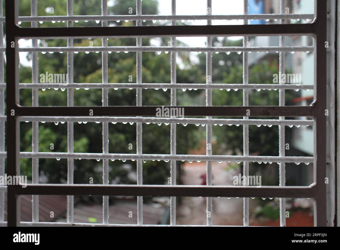 Metal grid window hi-res stock photography and images - Alamy