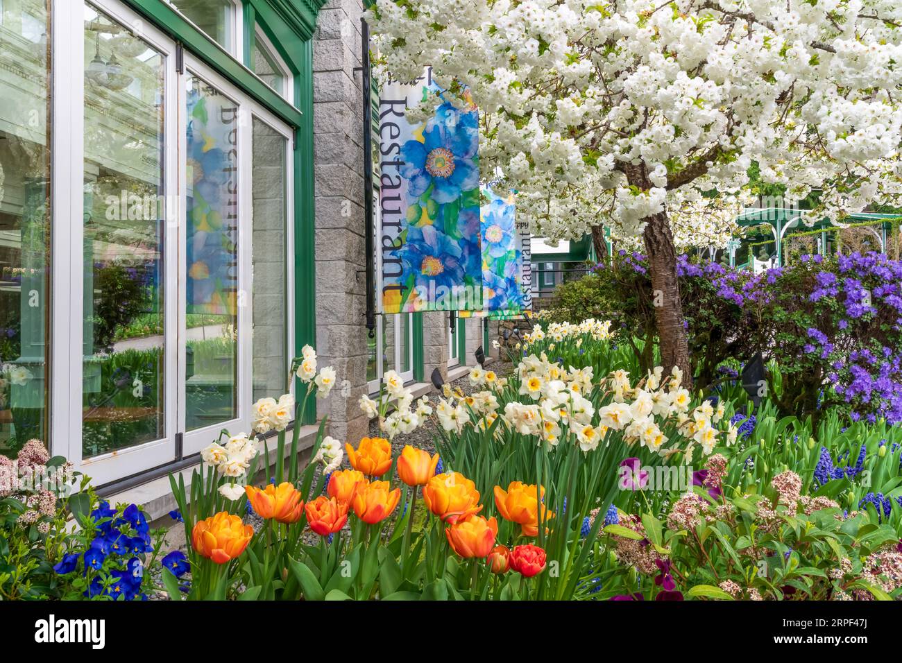 The spring season flower display at the Butchart Gardens, Victoria ...