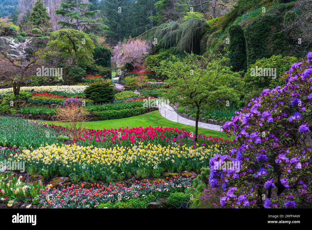 The spring season flower display at the Butchart Gardens, Victoria, Vancouver Island, British ...