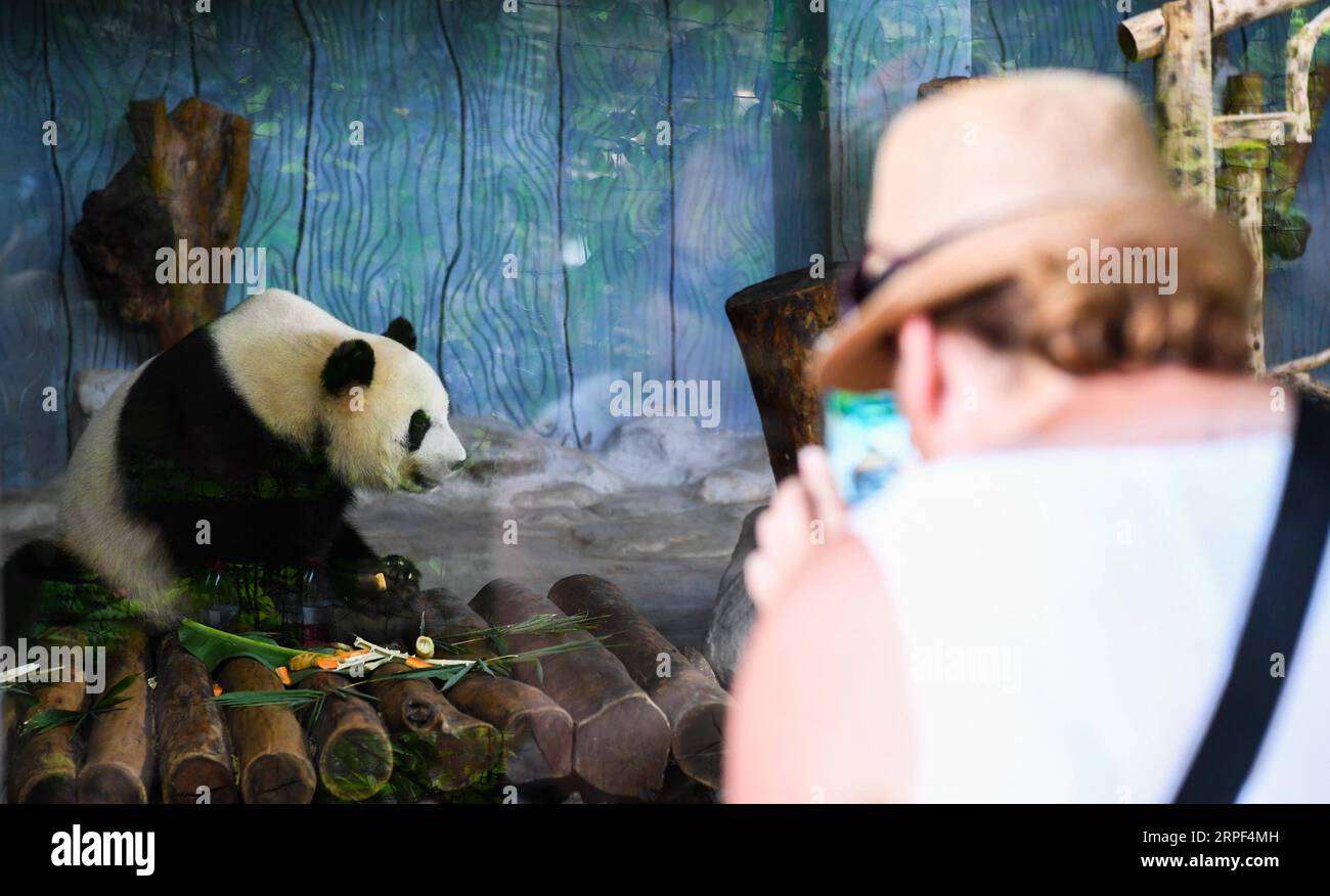 (190912) -- HAIKOU, Sept. 12, 2019 -- A tourist takes a picture of ...