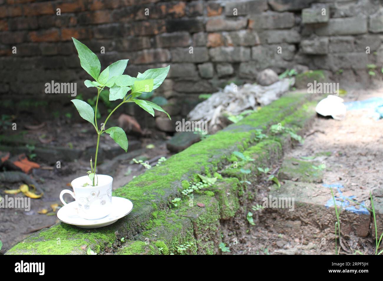 Ground ledge hi-res stock photography and images - Alamy