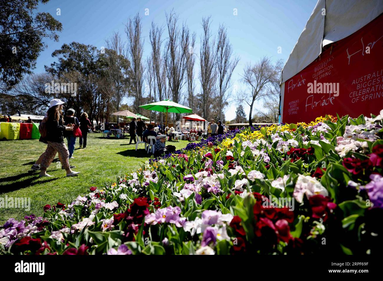 Entertainment Bilder des Tages (190914) -- CANBERRA, Sept. 14, 2019 ...