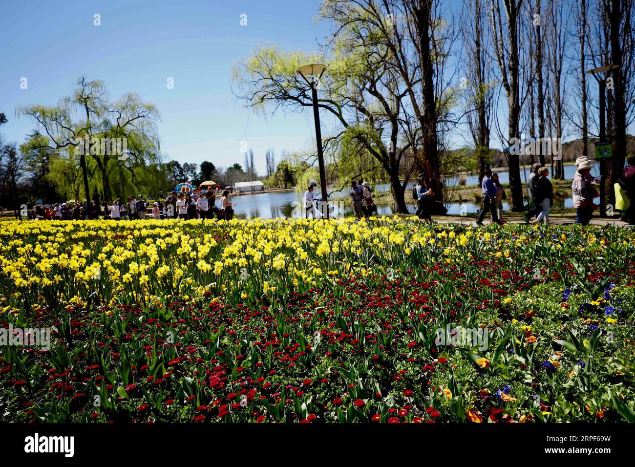 Australia canbera floriade hi-res stock photography and images - Alamy