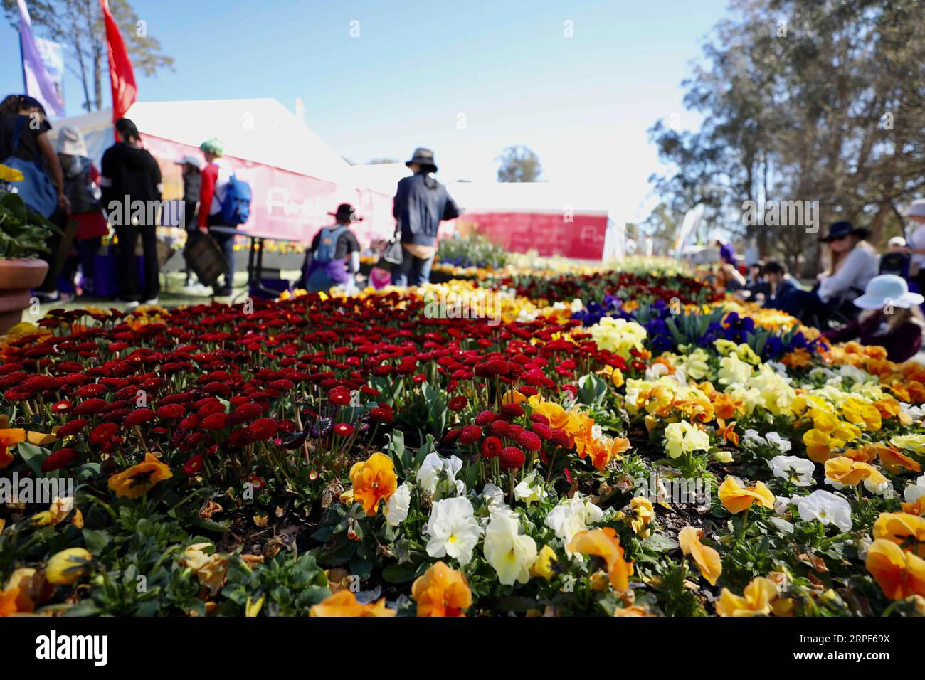 Australia canbera floriade hi-res stock photography and images - Alamy