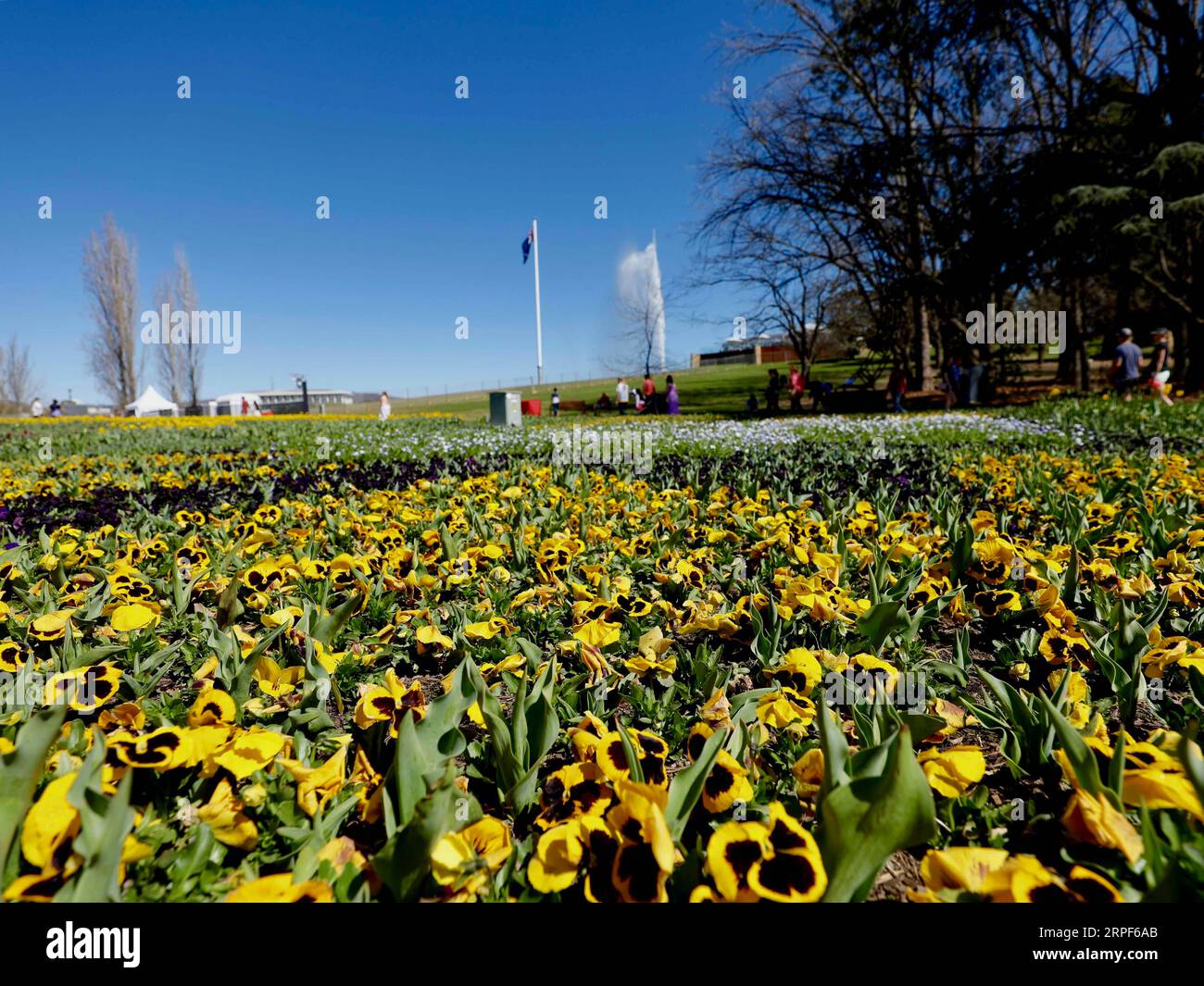 Australia canbera floriade hi-res stock photography and images - Alamy