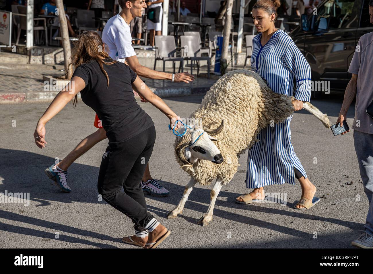 Morocco - Fes El Bali (ancient city) - UNESCO World Heritage - Getting ...
