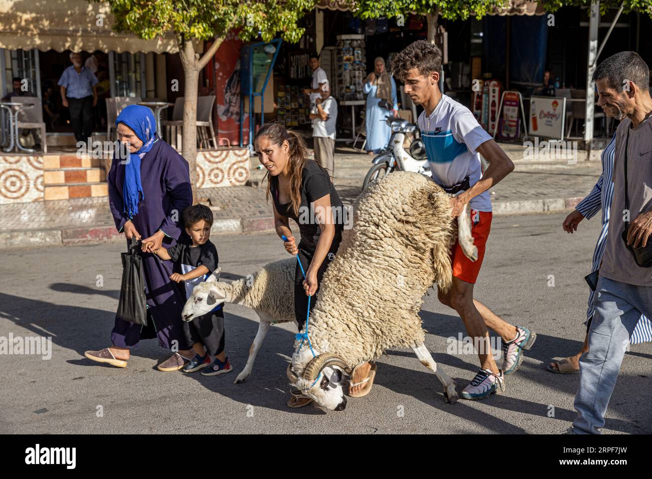 Morocco - Fes El Bali (ancient city) - UNESCO World Heritage - Getting ...